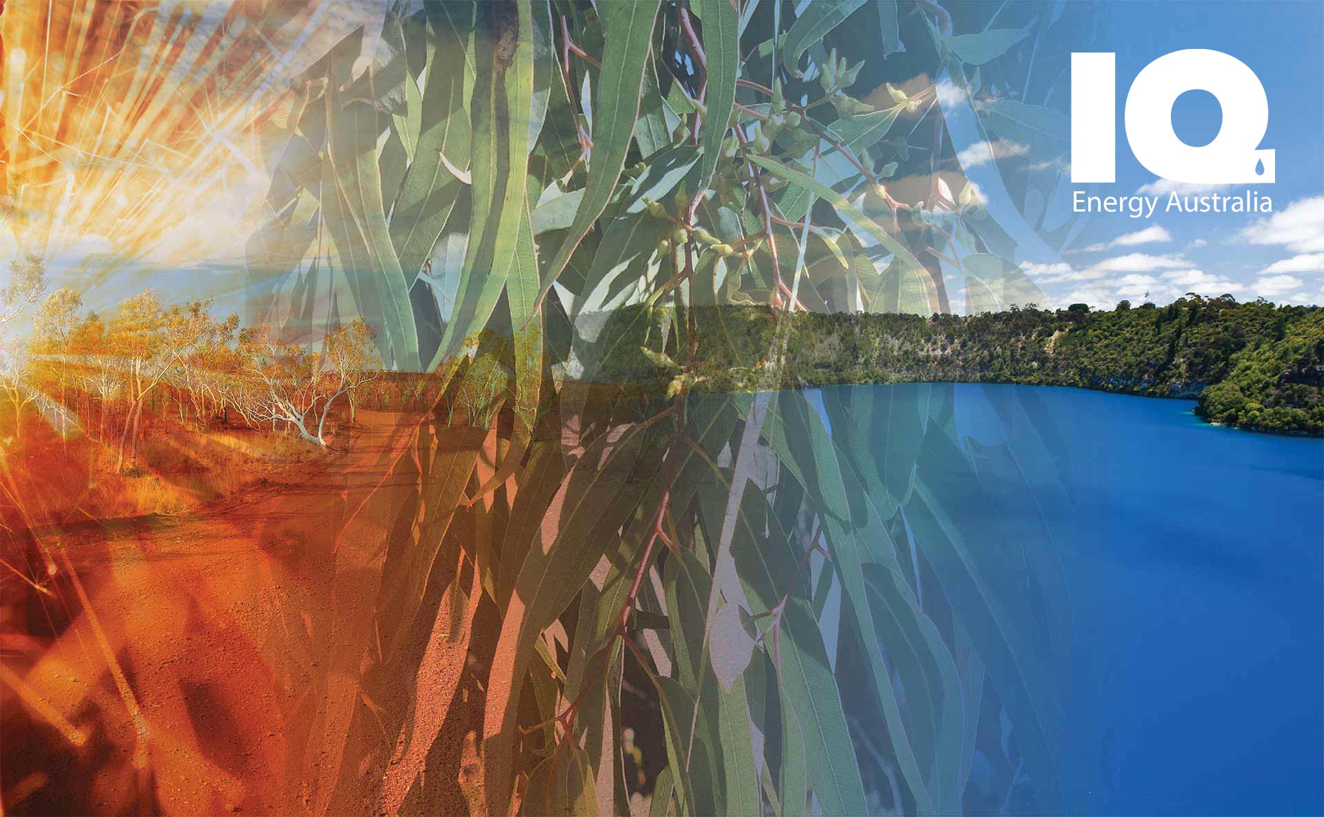 IQ Energy Australia